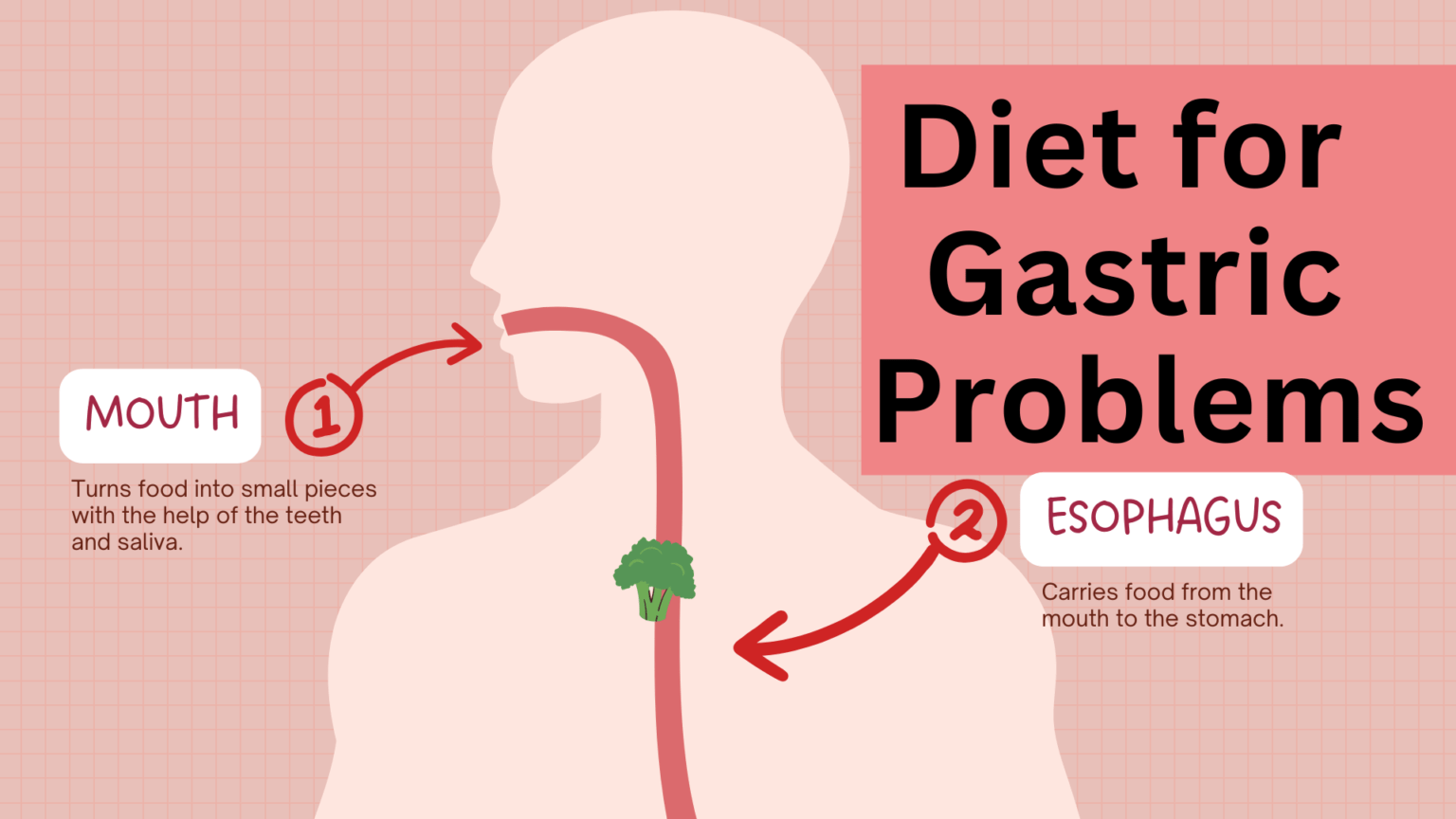 Diet Chart for Gastric Problems By Dietician Priyanka Jaiswal
